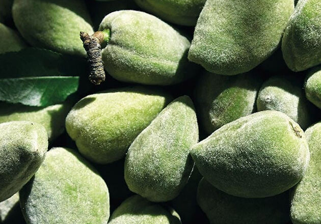 Natural Ingredients | Ethical Sourcing