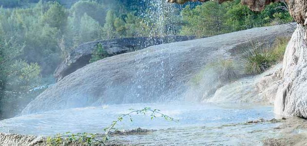 Natural Ingredients | Reotier Spring | L'OCCITANE Australia