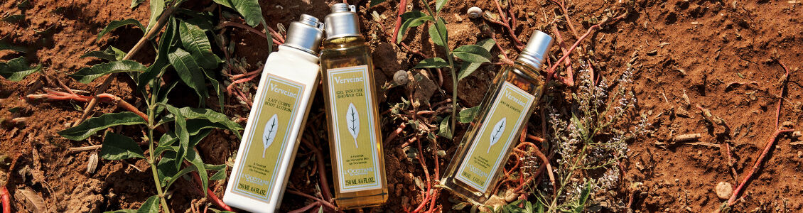 Verbena Classic Collection | L'OCCITANE Australia