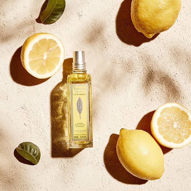 Verbena Classic Collection | L'OCCITANE Australia